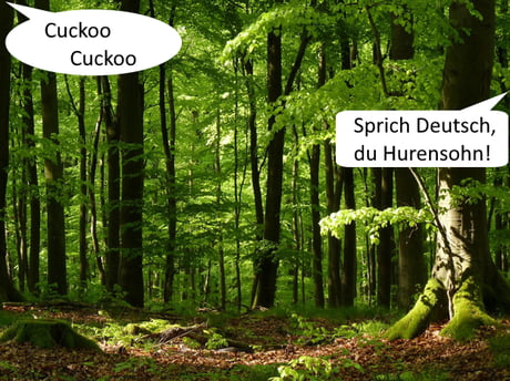 Best Funny wald Memes - 9GAG