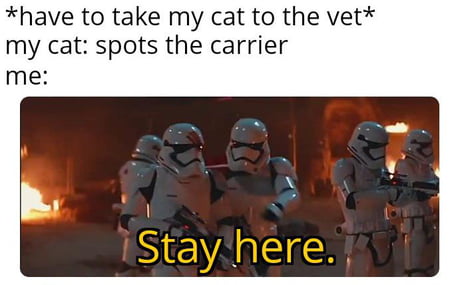 Memes Force Awakens Making A Meme Out Of Every Line In The Force