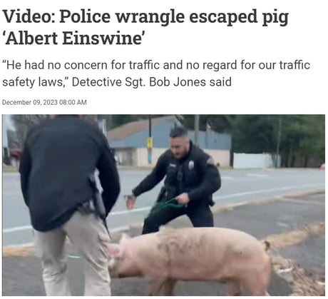 Pig Police Memes
