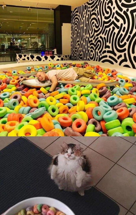 Best Funny perfect loop Memes - 9GAG