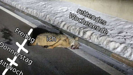 Best Funny freitag Memes - 9GAG