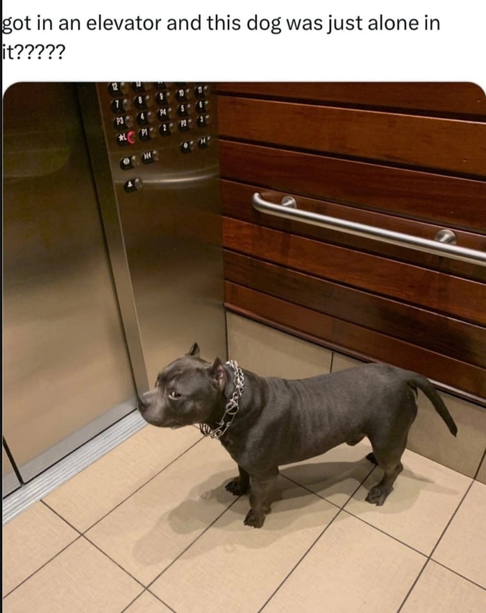 Just stay still and whatever you do...don't fart... - 9GAG