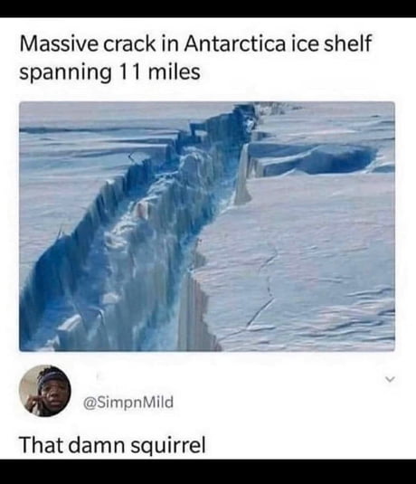 Best Funny ice age Memes - 9GAG