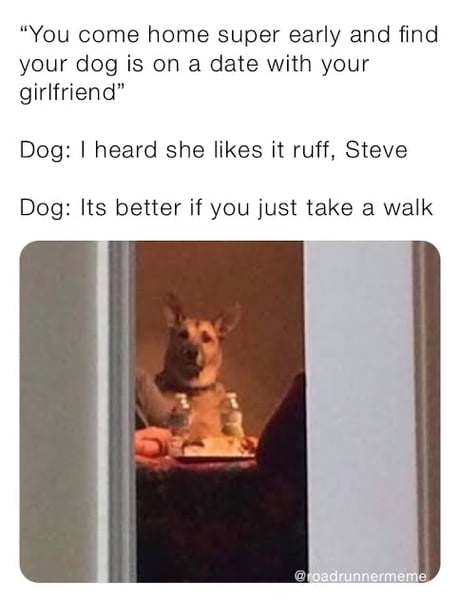 Best Funny dogmeme Memes - 9GAG