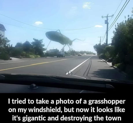 Best Funny windshield Memes - 9GAG