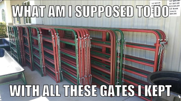 I’ve kept one too many gates - 9GAG