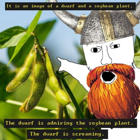 Best Funny dwarf fortress Memes - 9GAG