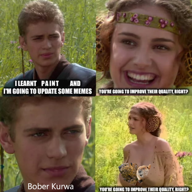 Where is Bober? Is he safe? Is he Kurwa? - 9GAG