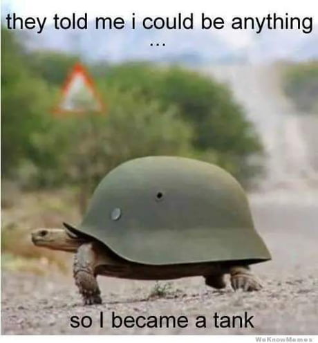 Tortoise Memes