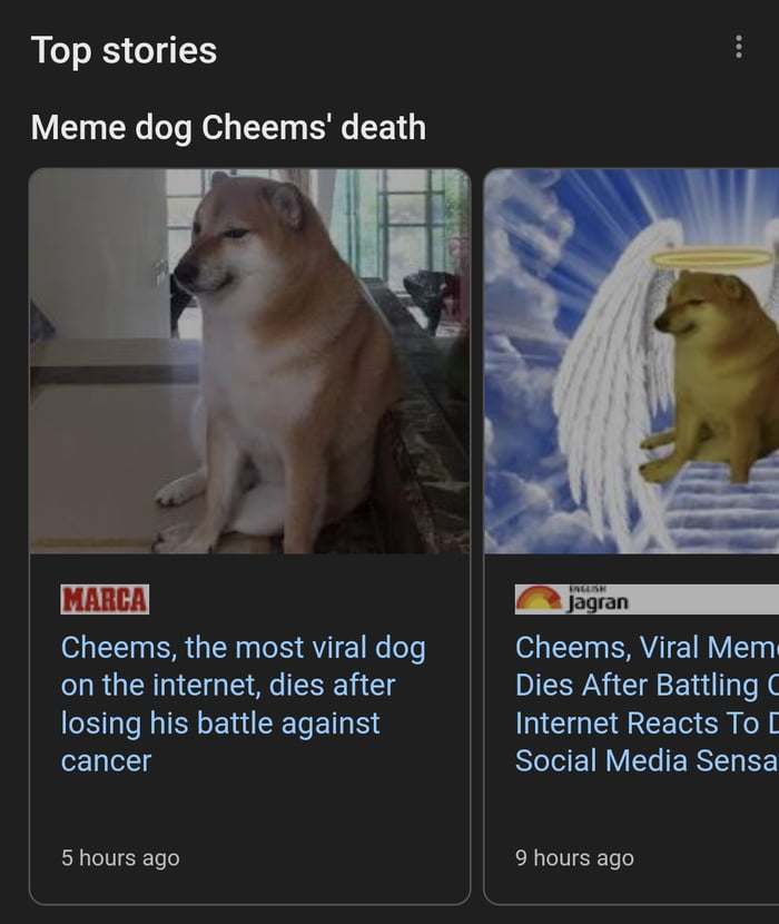 Doge died. R.I.P. Live forever in our memories good boy. - 9GAG