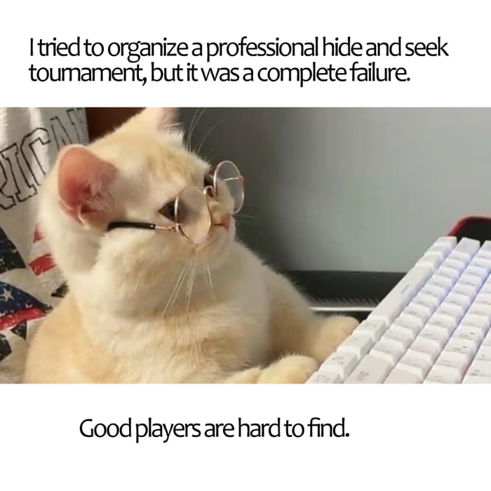 Good Kitty - 9GAG