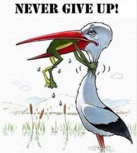 Best Funny perseverance Memes - 9GAG