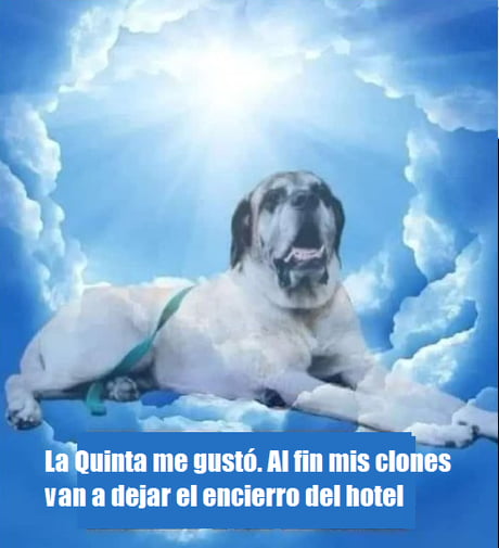 Best Funny conan Memes - 9GAG