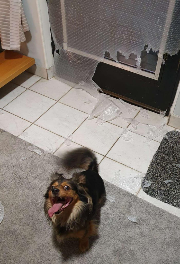 Nothing wrong here - 9GAG