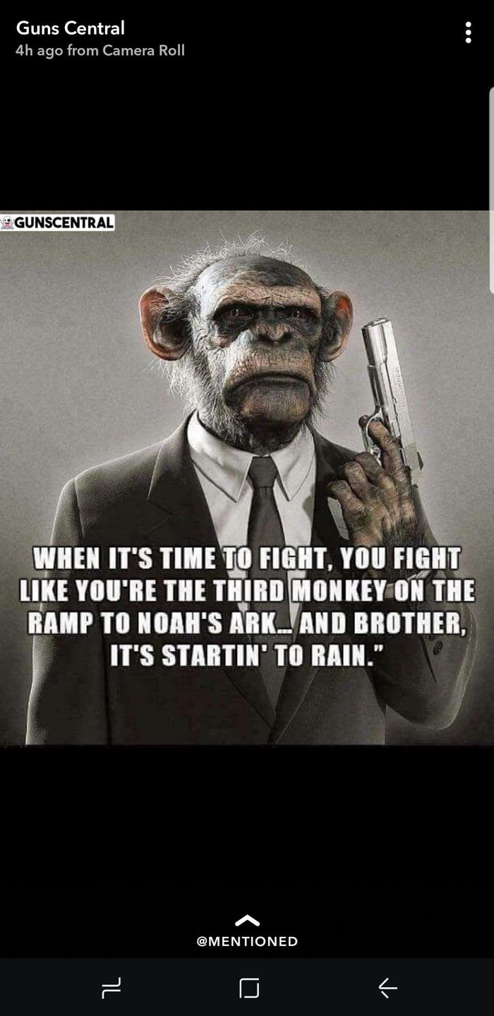 I can't stop laughing at this monkey and this meme - 9GAG