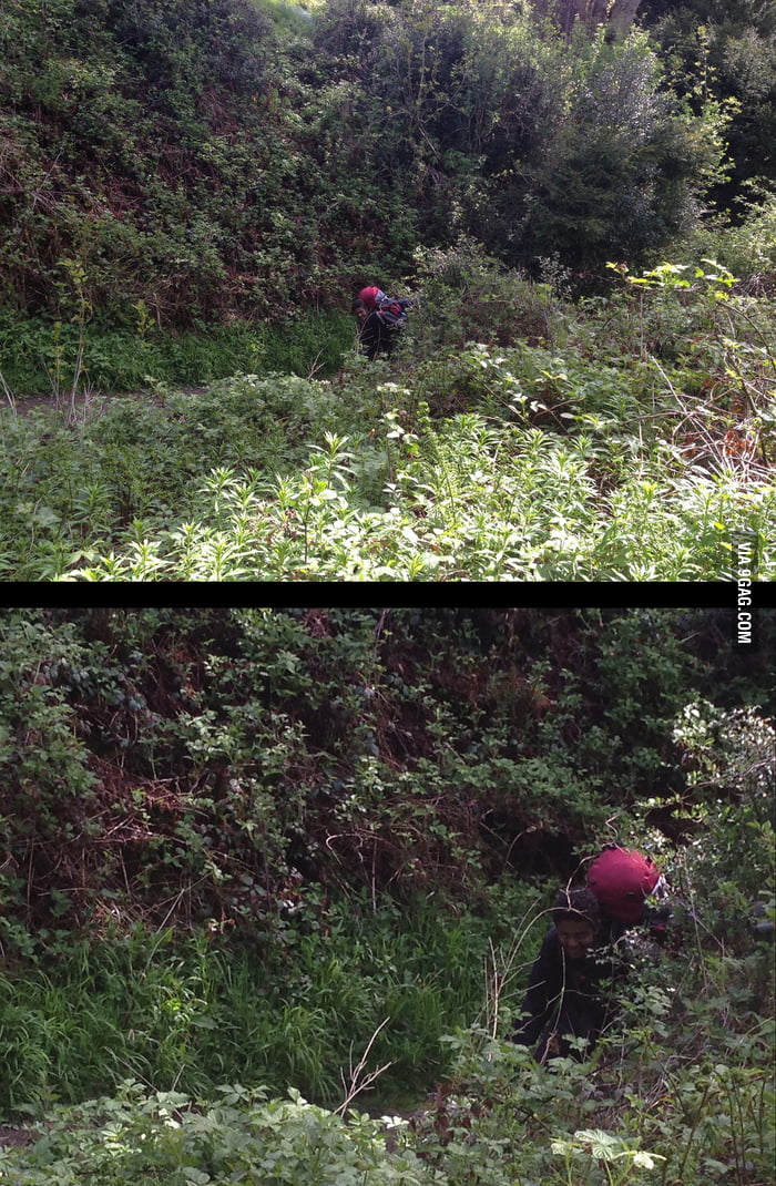 A wild niglet appeared - 9GAG