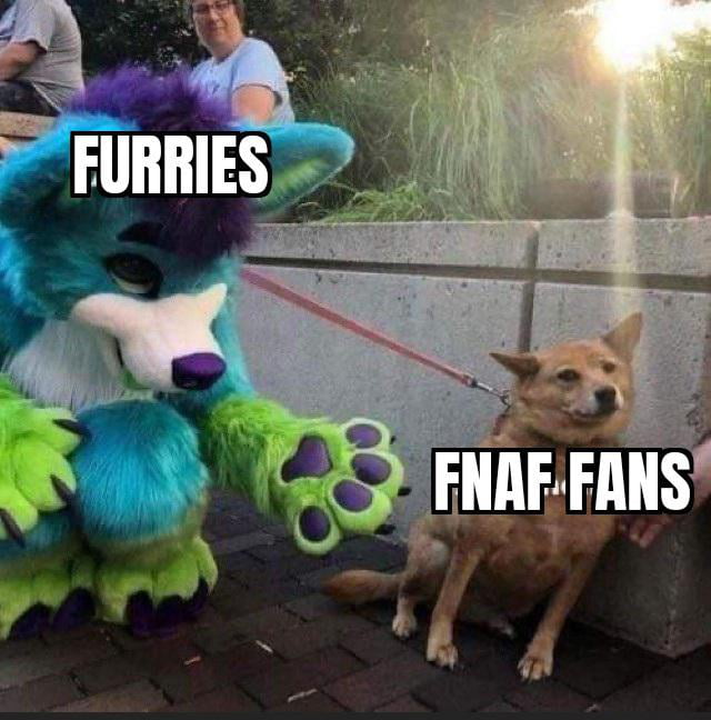 Furry - 9GAG