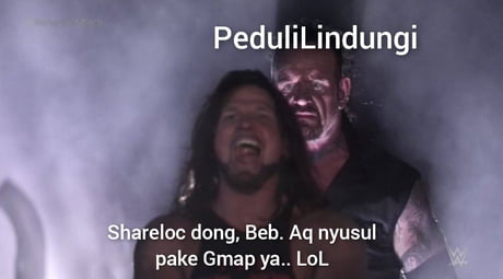 Wwe Memes Aj