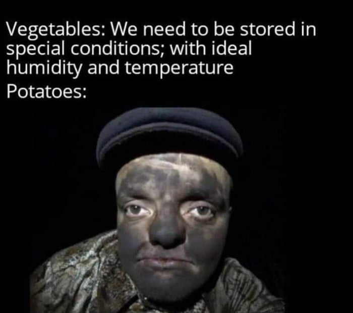 Sorry for the long post, here is a potato - 9GAG