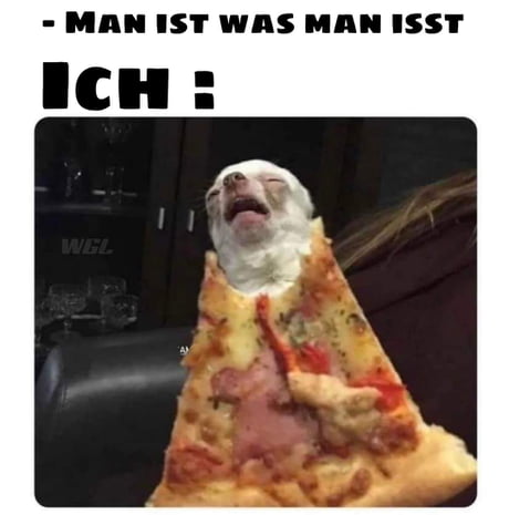 Hund Mandag Meme