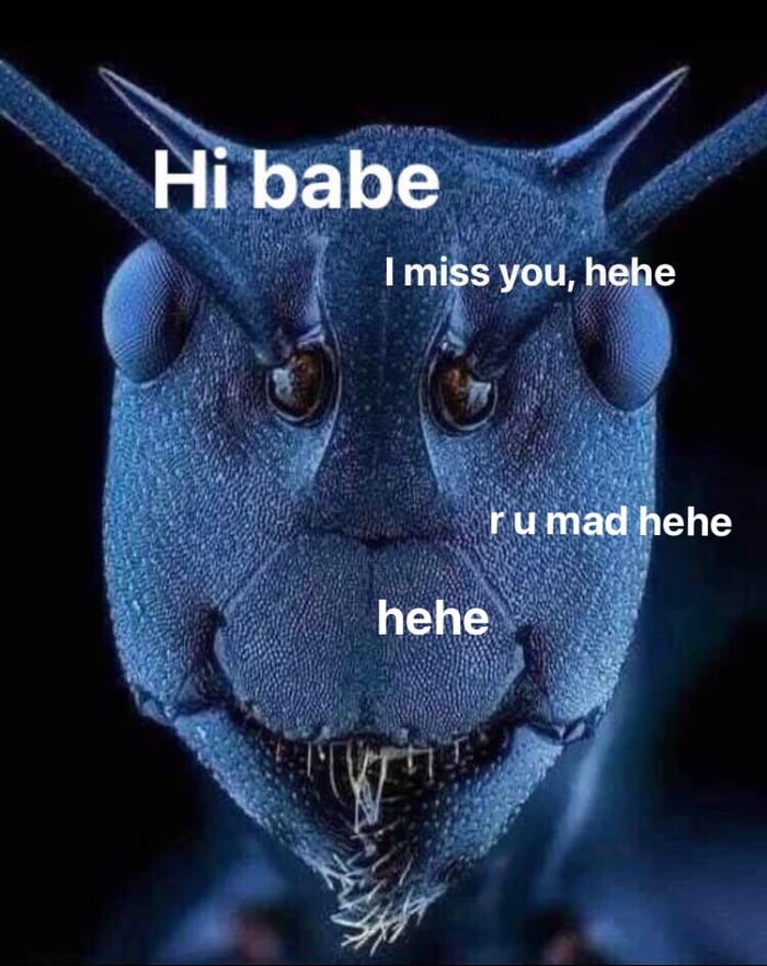 Sigma male grindset - 9GAG