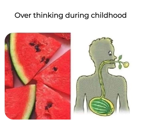 Best Funny watermelon Memes - 9GAG