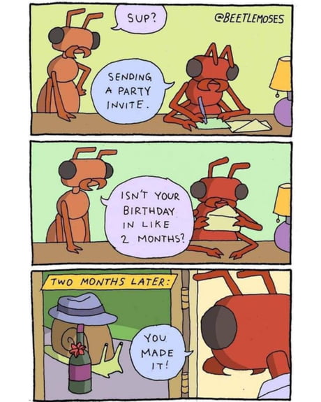 Best Funny ants Memes - 9GAG