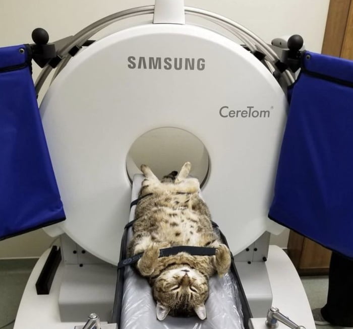 CAT scan - 9GAG