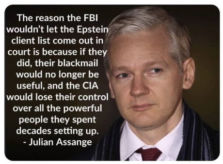 Assange Memes