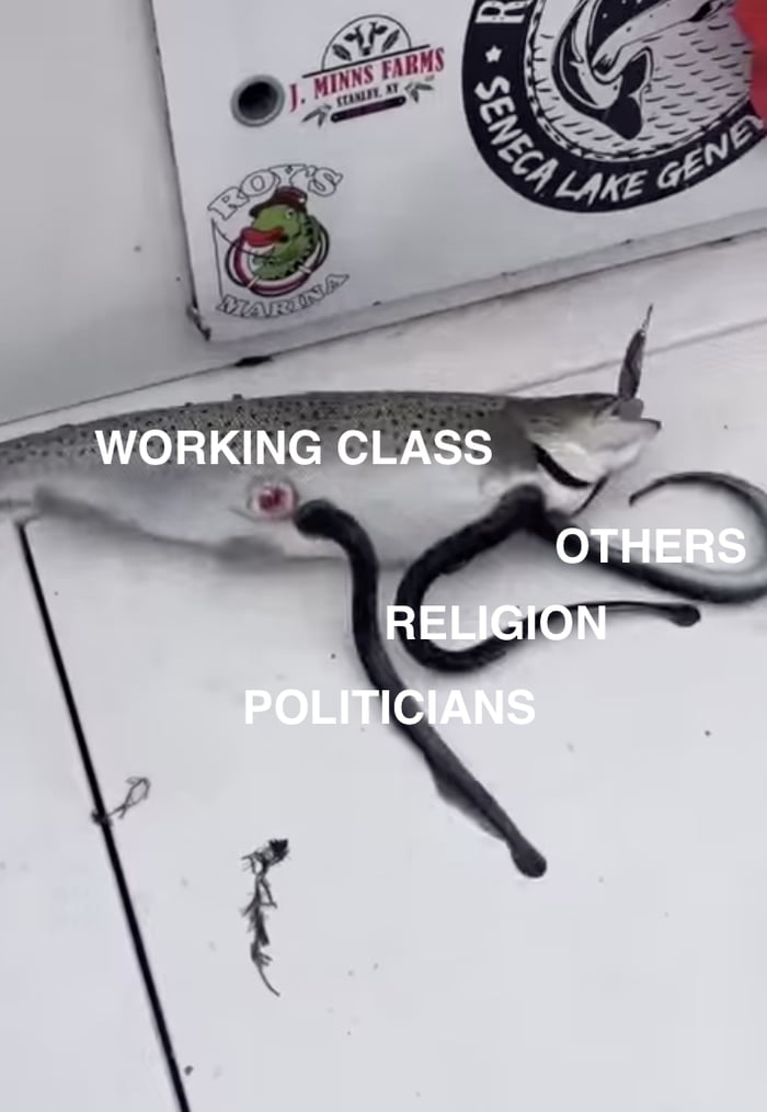 That fish is lucky. He only has 3 leeches - 9GAG