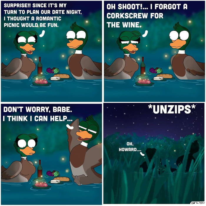 Ducks at a picnic. IYKYK. - 9GAG