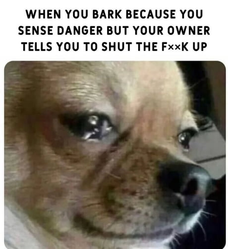 Best Funny stfu Memes - 9GAG