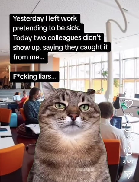 Best Funny sick leave Memes - 9GAG