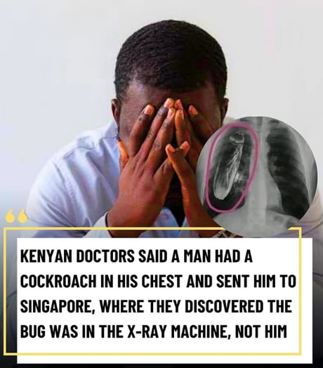 Best Funny cockroach Memes - 9GAG