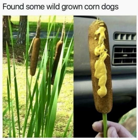 Best Funny not good Memes - 9GAG