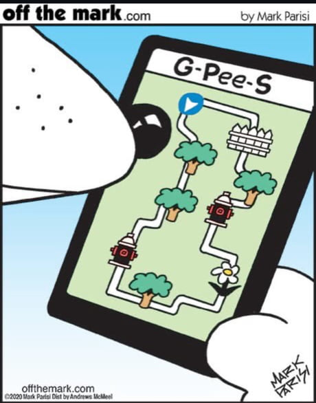 Best Funny gps Memes - 9GAG