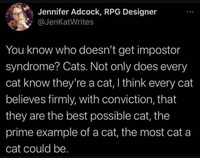 And my cat is the most cat of all cats that ever catted in the cat world of cats. Catception. - 9GAG