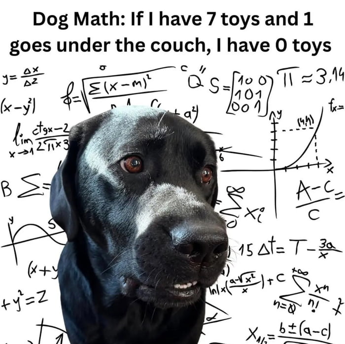 Dog logic - 9GAG