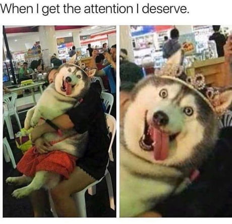 Best Funny focus Memes - 9GAG