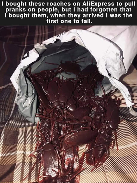 Best Funny aliexpress Memes - 9GAG