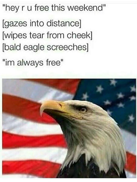 Best Funny bald eagle Memes - 9GAG
