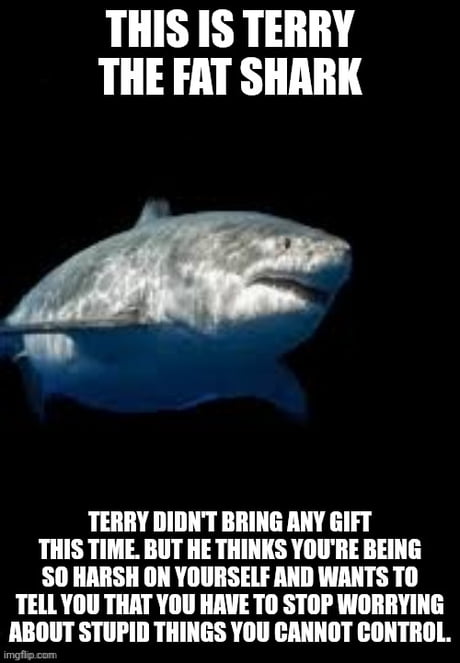 Best Funny terry Memes - 9GAG