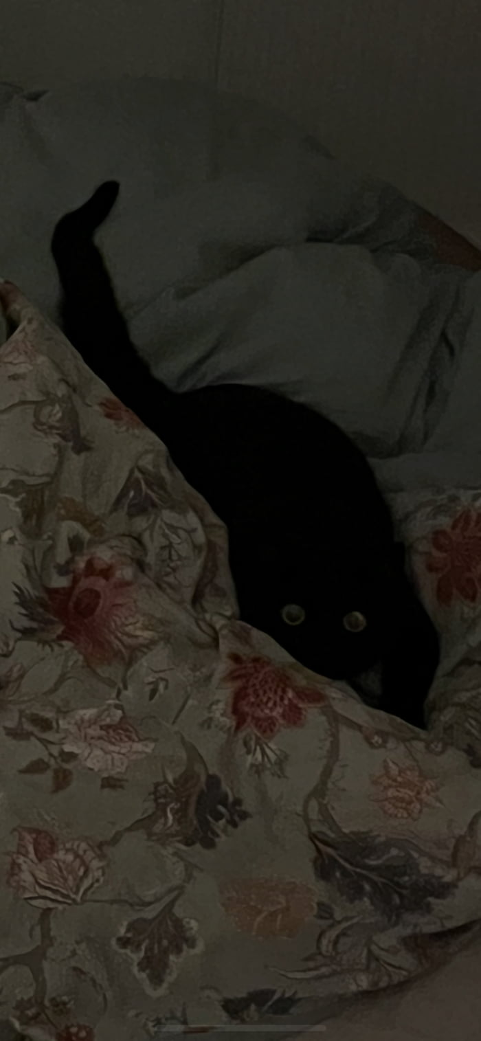 Void being fun shaped - 9GAG