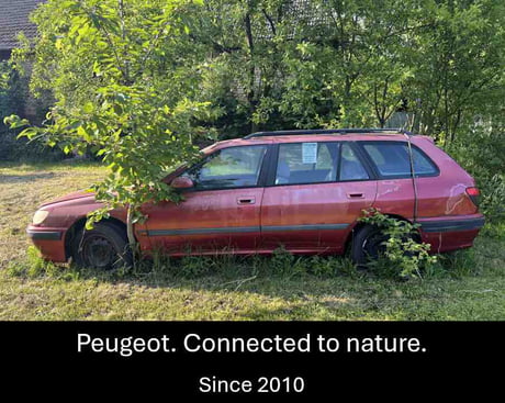 Best Funny rust Memes - 9GAG