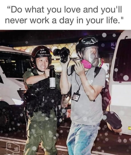 Best Funny i choose violence Memes - 9GAG