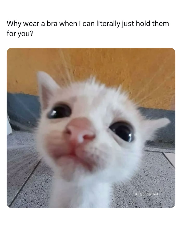 The ultimate support system - 9GAG