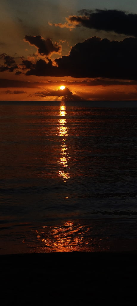 Best Funny mauritius Memes - 9GAG