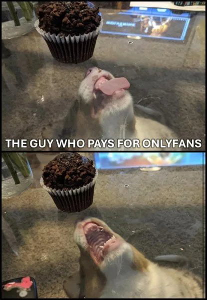 Best Funny muffin Memes - 9GAG