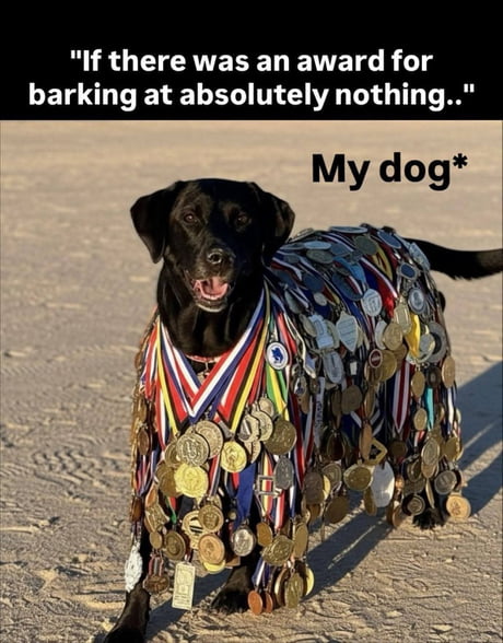 Best Funny champion Memes - 9GAG