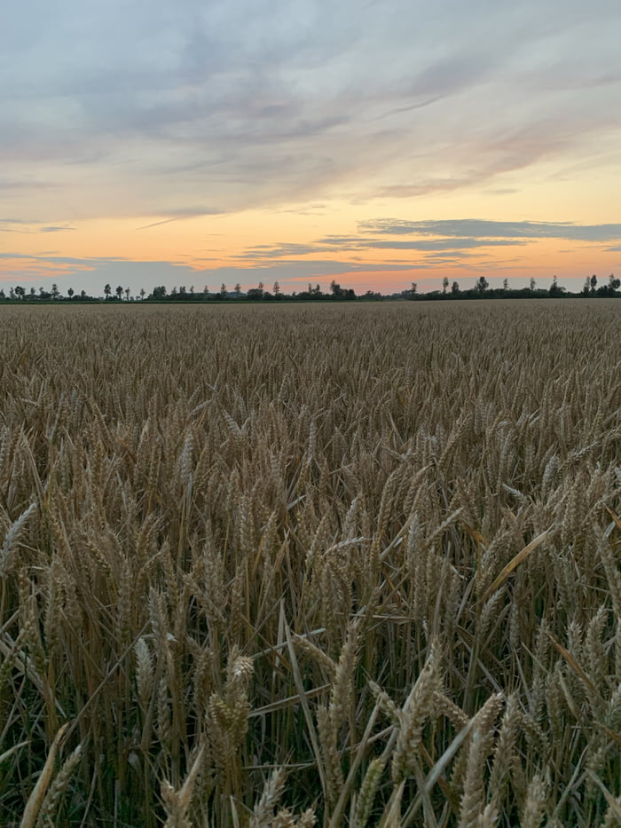 Since we’re taking it easy on 9GAG nowadays; here’s a lovely sunset photo I took a few days ago ...